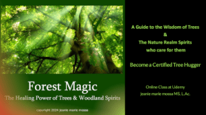 naturerealmportal – A magical excursion where trees talk, faeries dance ...